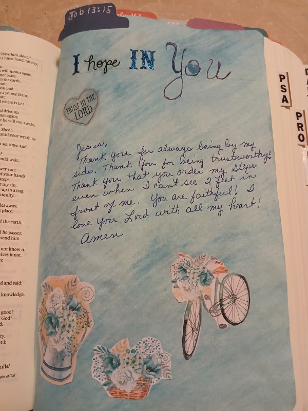 Hope in the Midst of Despair – donnasmusings